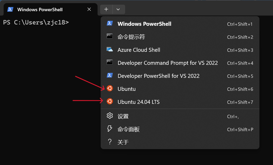关于WSL2的安装与踩坑 | WhythZ